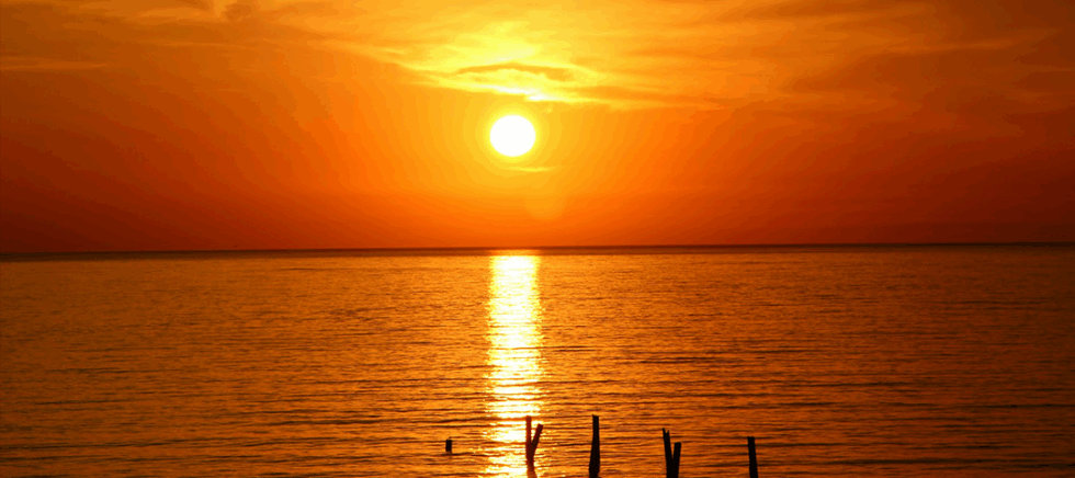 Walking Into the New Year: Renewed in Our Baptism | Carmelite Sisters ...